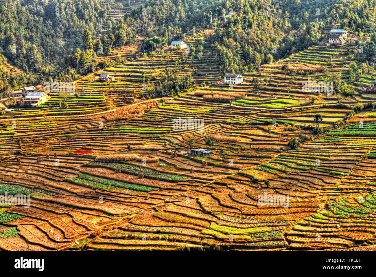 naturally formed farmland terraces in hilly region Stock Photo - Alamy
