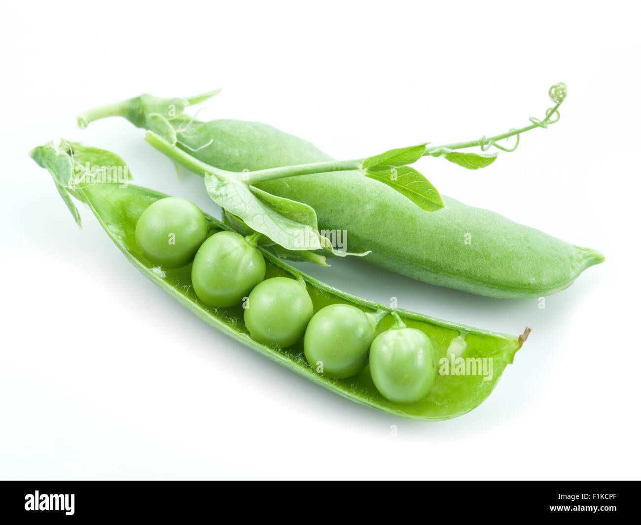 Open pea pod on a white background Stock Photo - Alamy