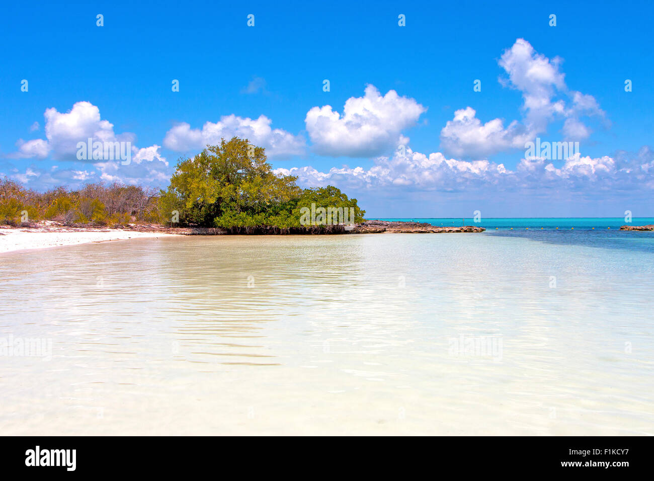 blue in mexico froath and blue foam the sea drop sunny day wave Stock ...