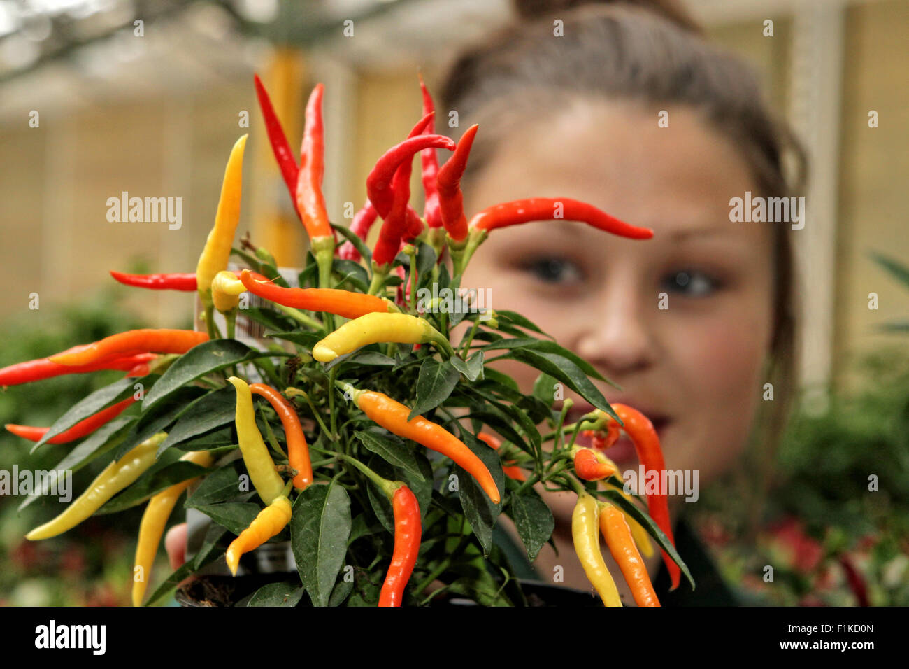 Millets Farm, Oxfordshire, UKEmily Potter from Milletts Farm in ...