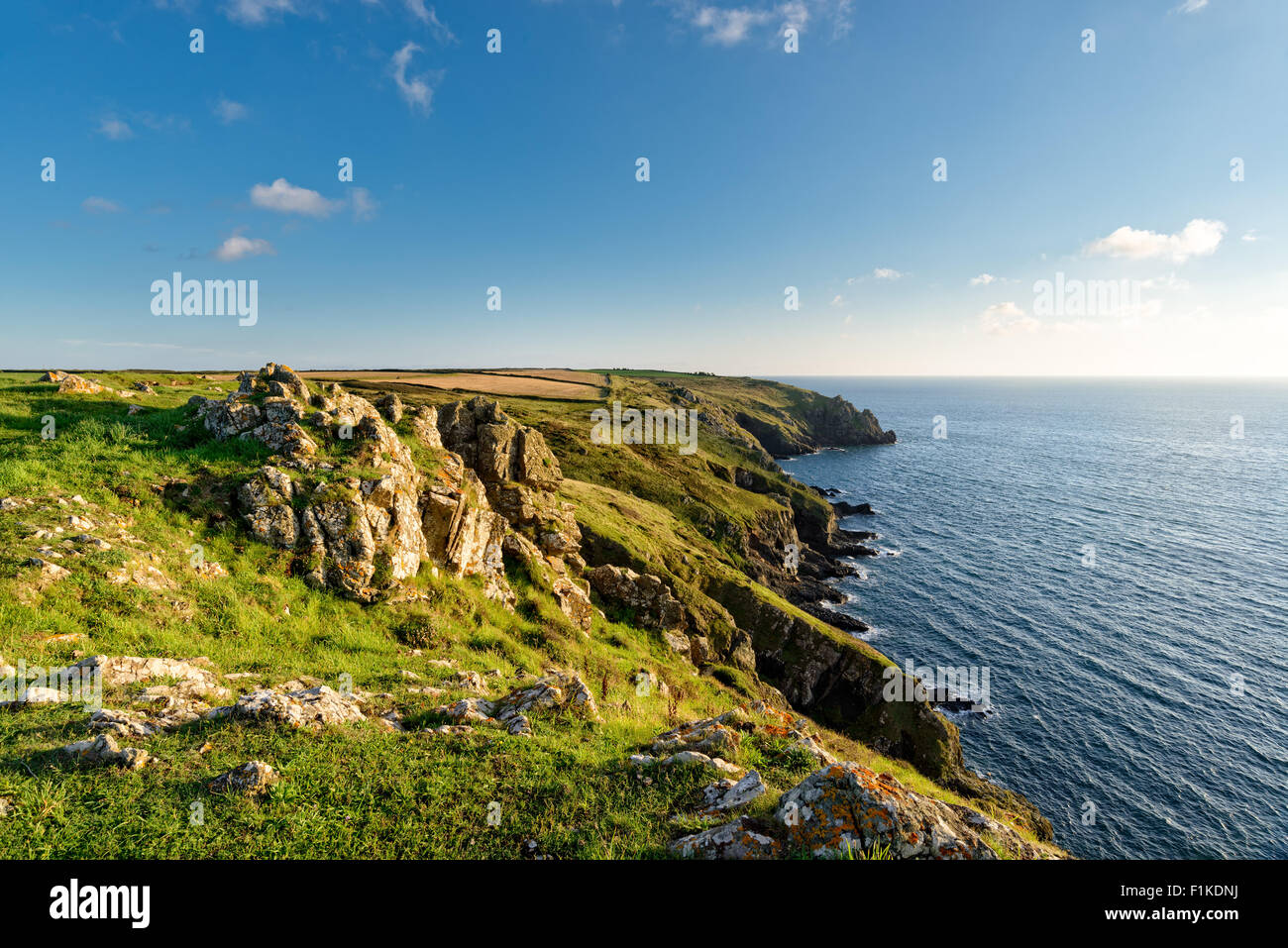 South west coast path cornwall lizard hi-res stock photography and ...