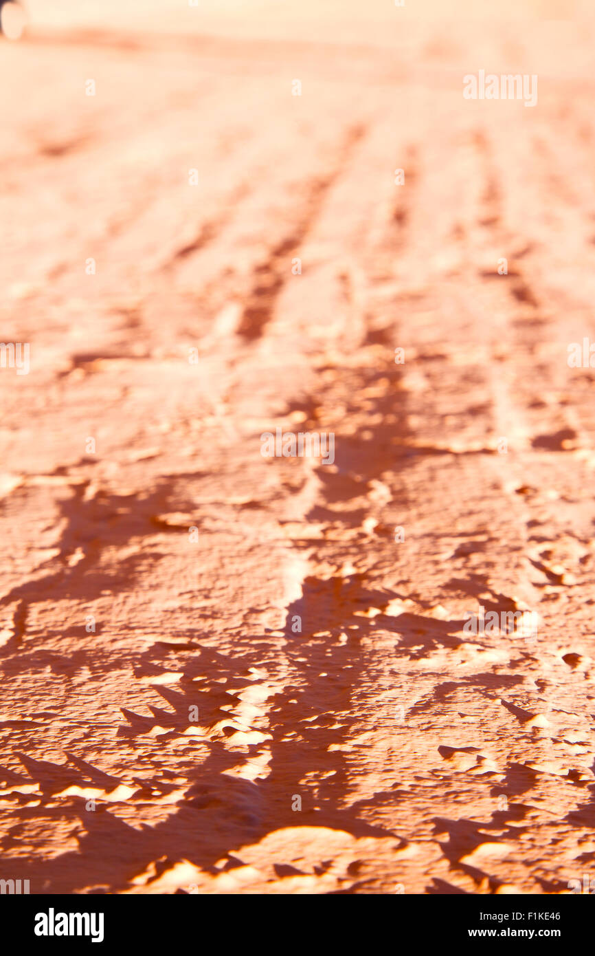 texture wall in africa morocco the old brick construction concrete ...