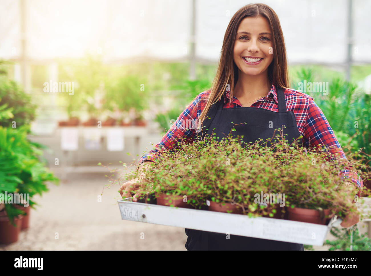Smiling woman working in a commercial nursery selling plants to the ...