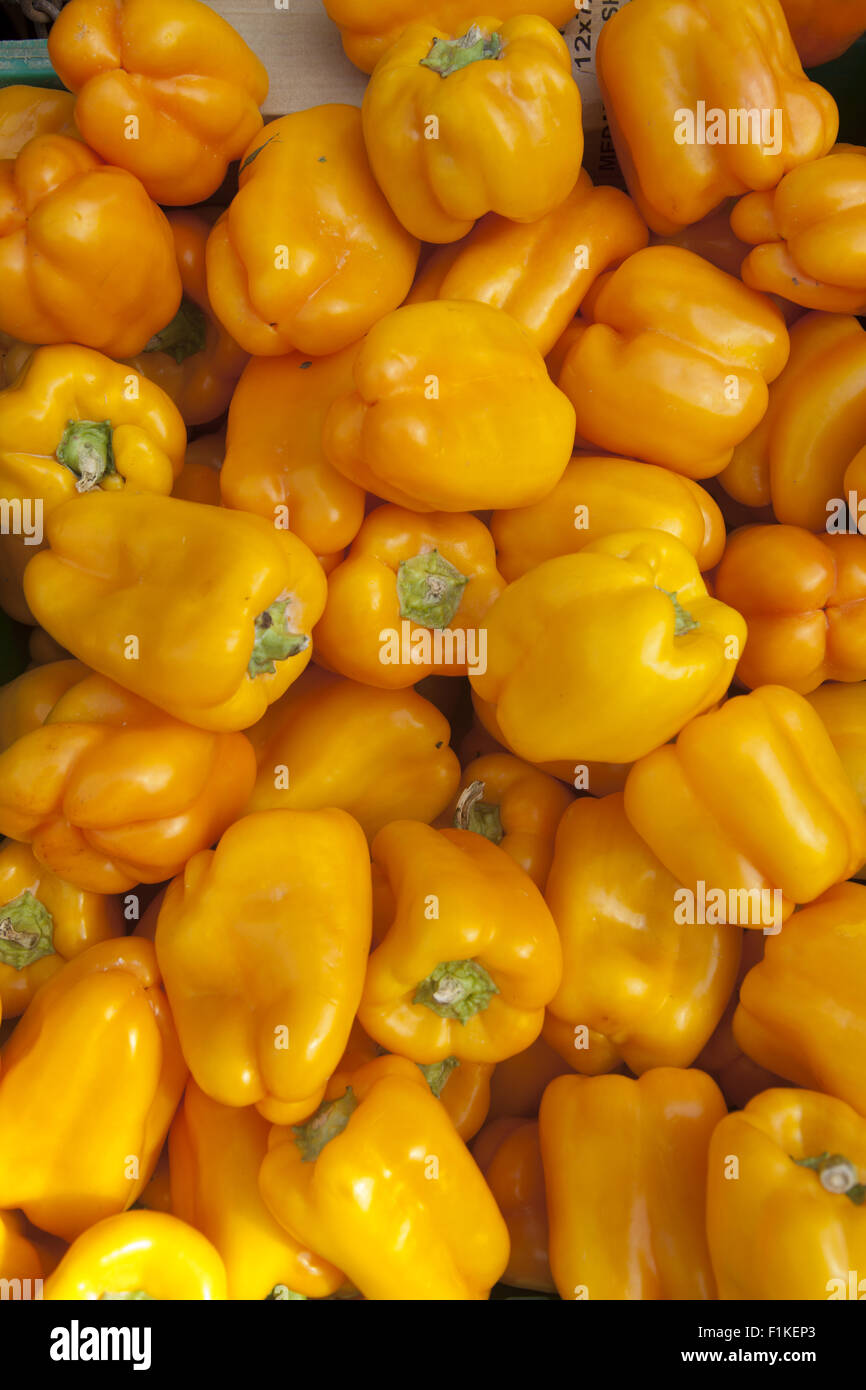 Beautiful yellow peppers for sale at the grand Army Plaza Farmers ...