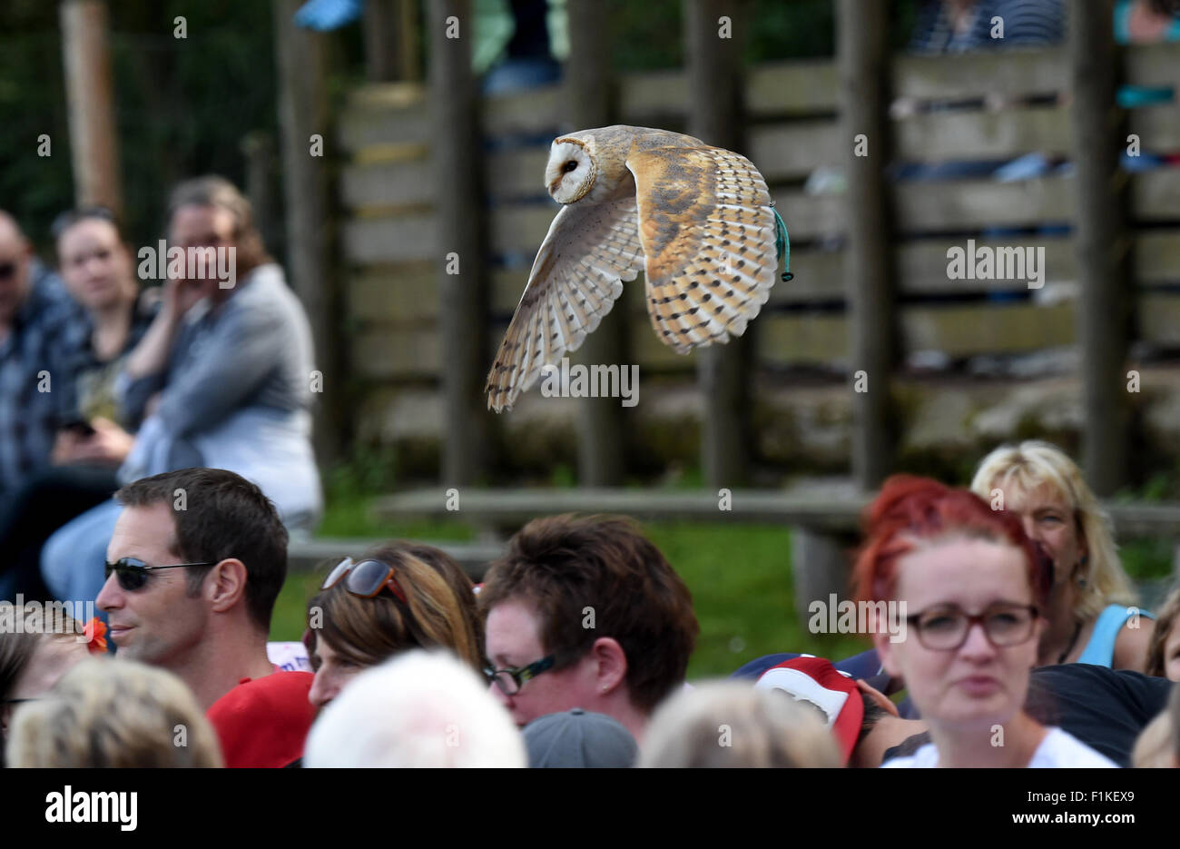 30 years of existence hi-res stock photography and images - Alamy