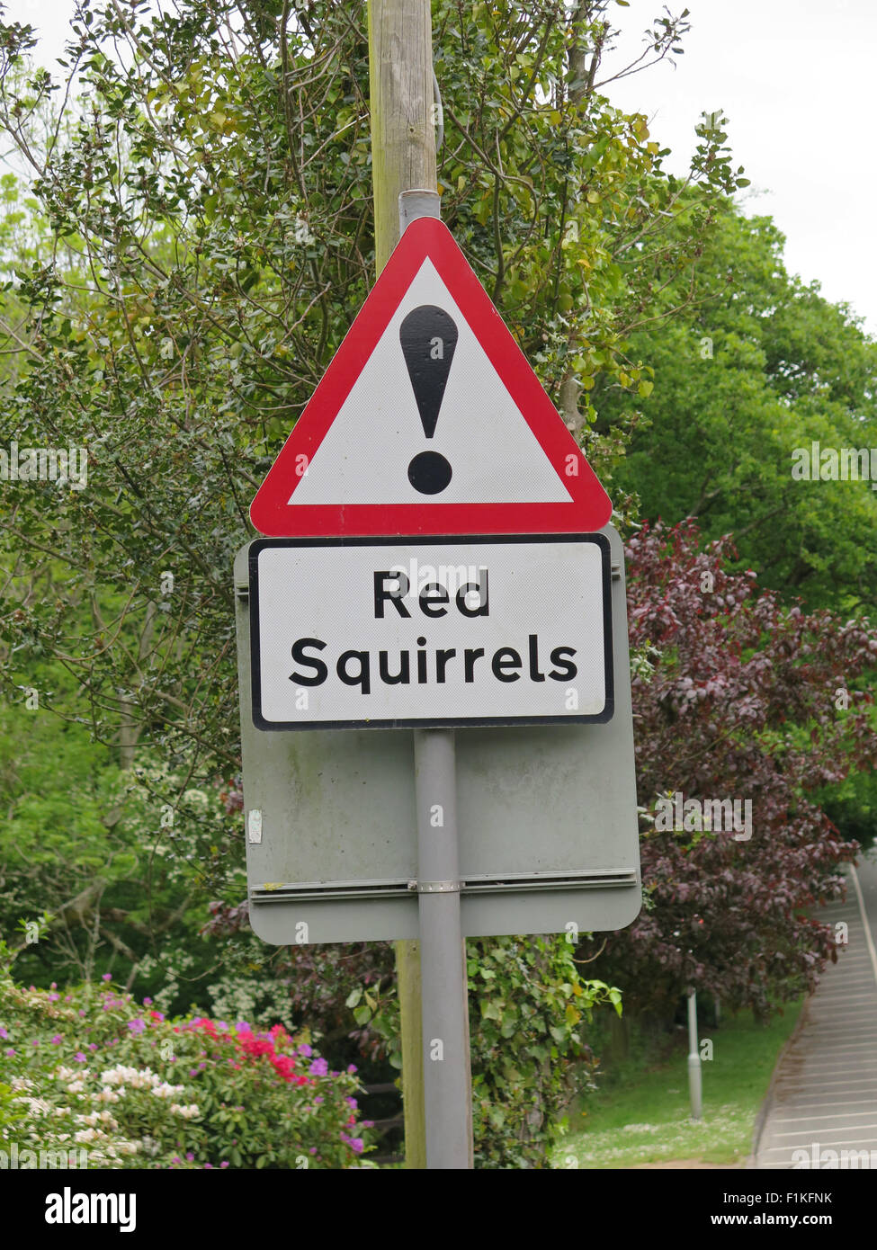 Squirrel road sign hi-res stock photography and images - Alamy
