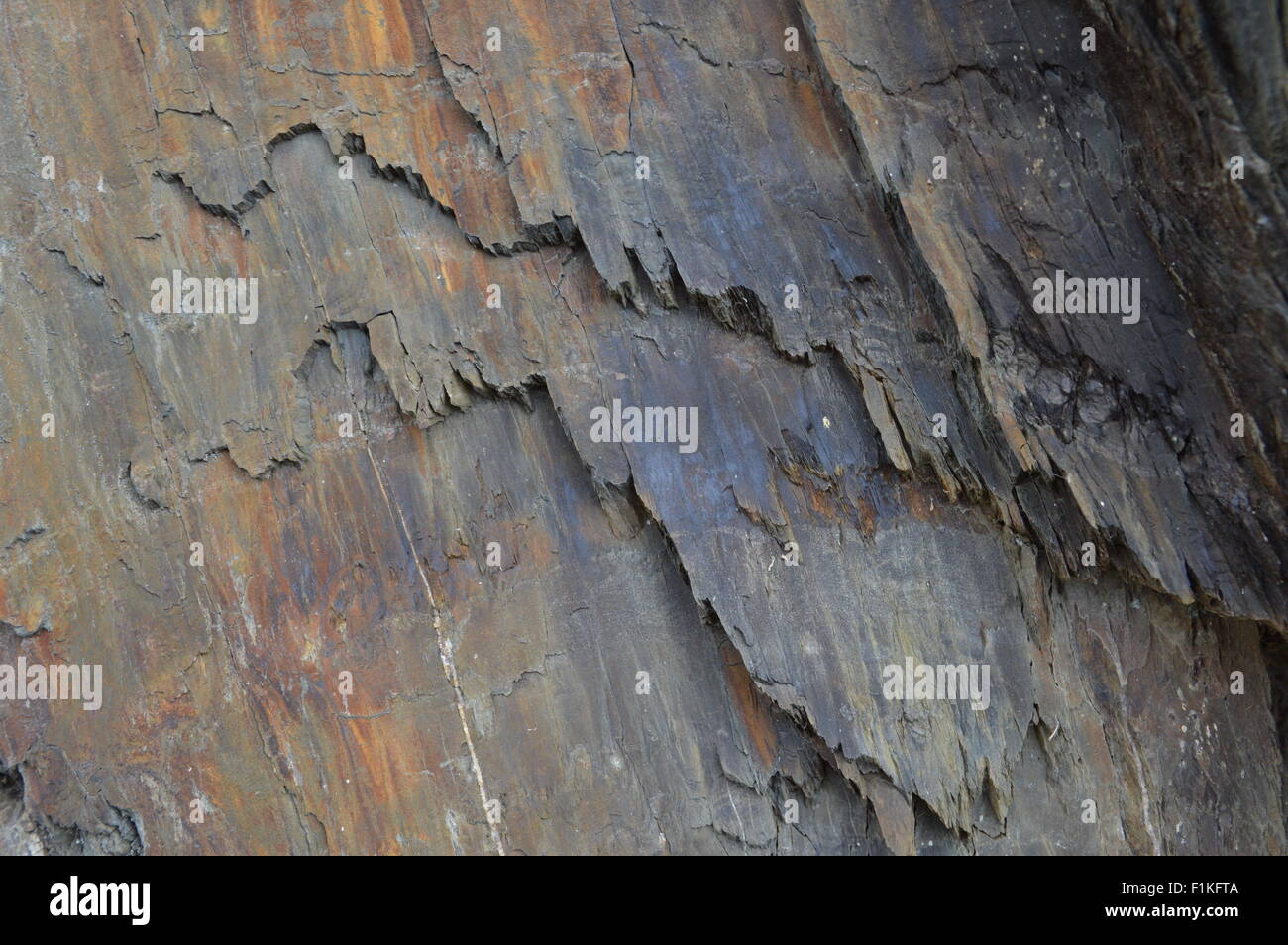 Slate in middle rhine valley Germany Stock Photo - Alamy