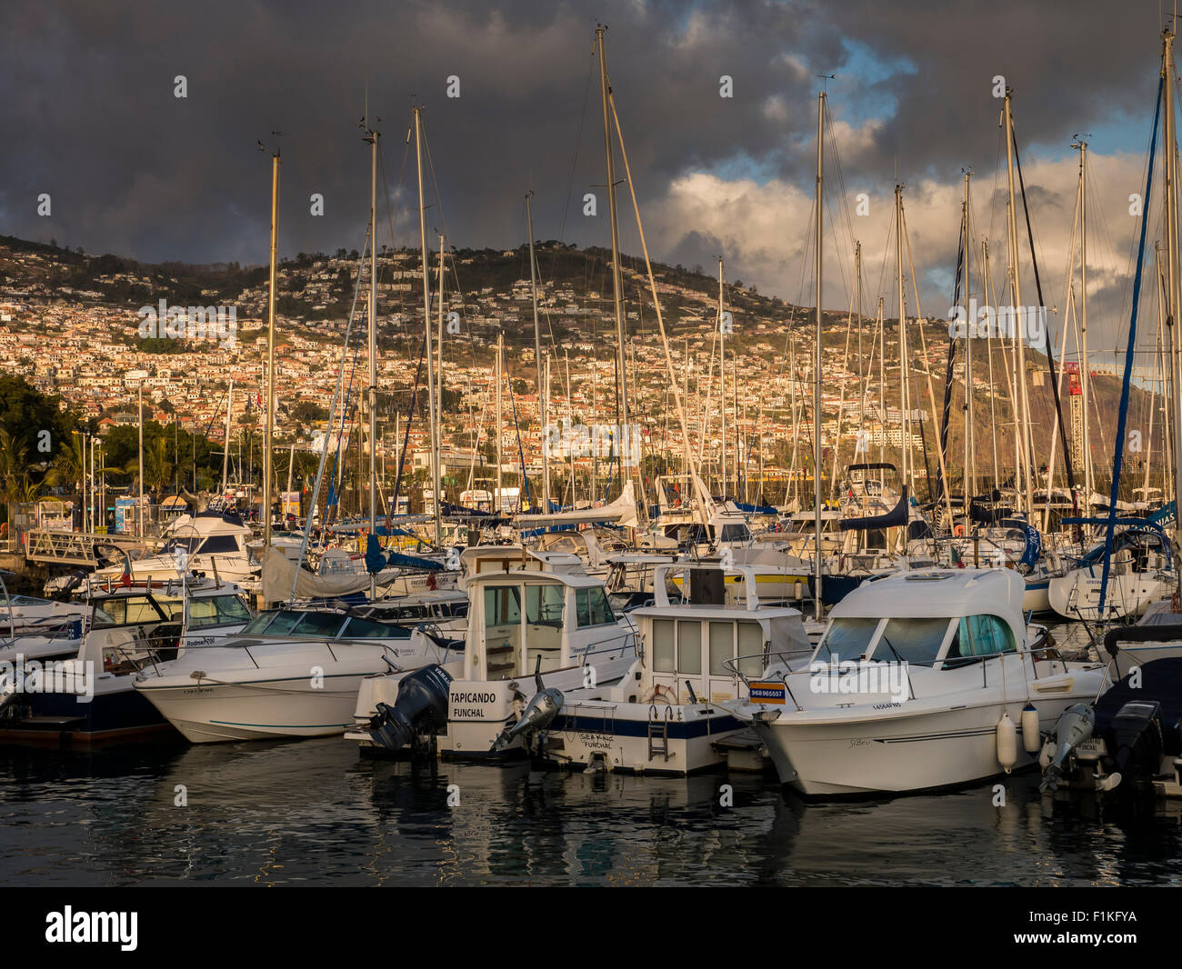 The Marina, Funchal, Madeira, Portugal Stock Photo - Alamy