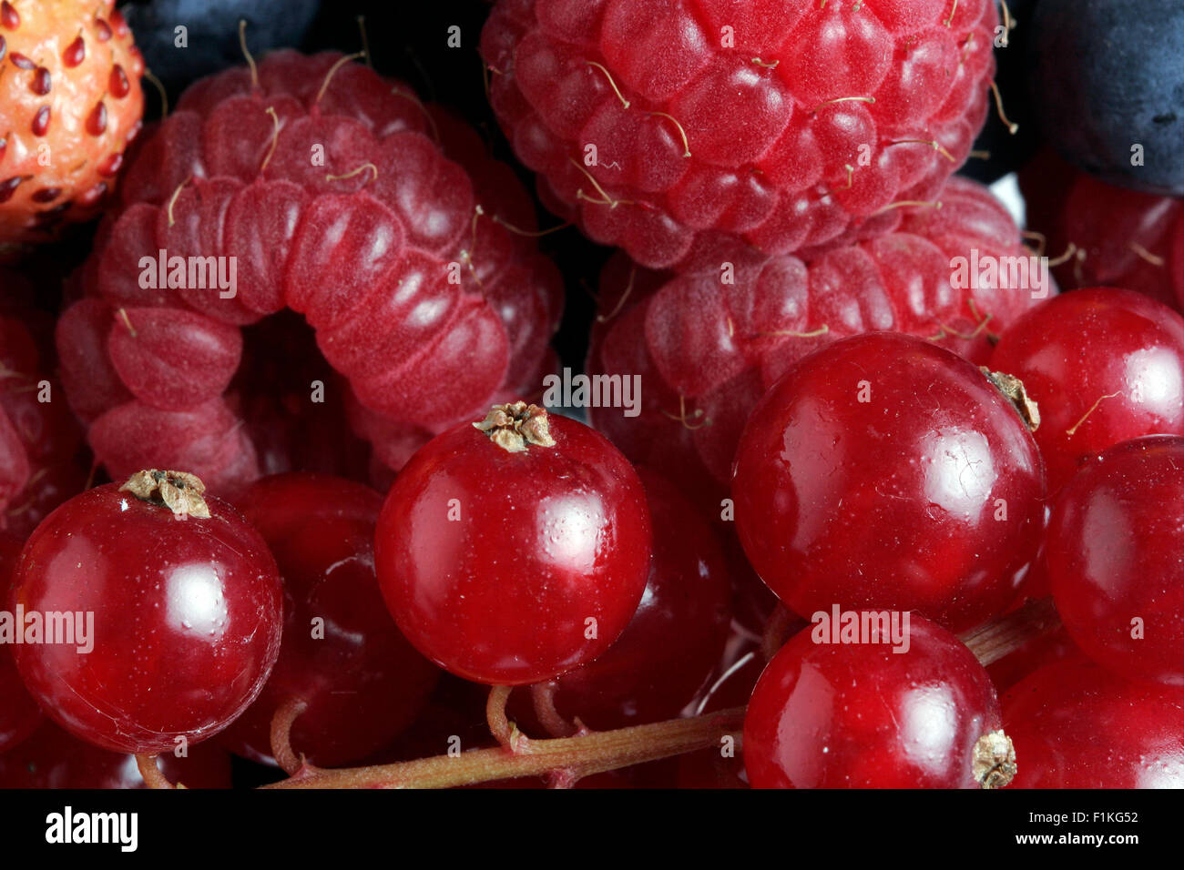 Red fruits close up Stock Photo - Alamy