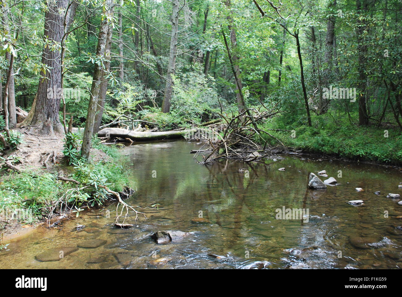 Mountain stream running through hi-res stock photography and images - Alamy