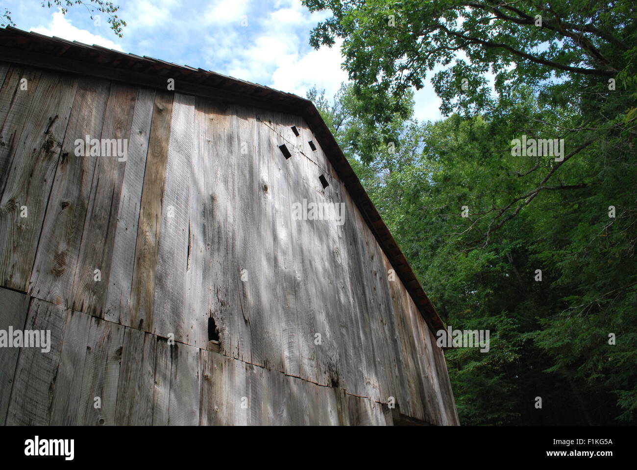 The side of an old wooden barn from the 1900s with a forest and blue ...