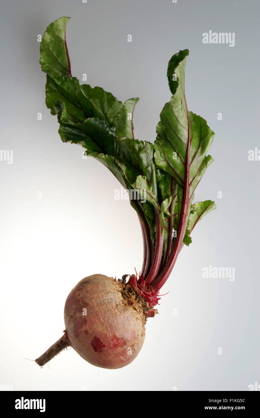 Beet root Beetroot Stock Photo - Alamy