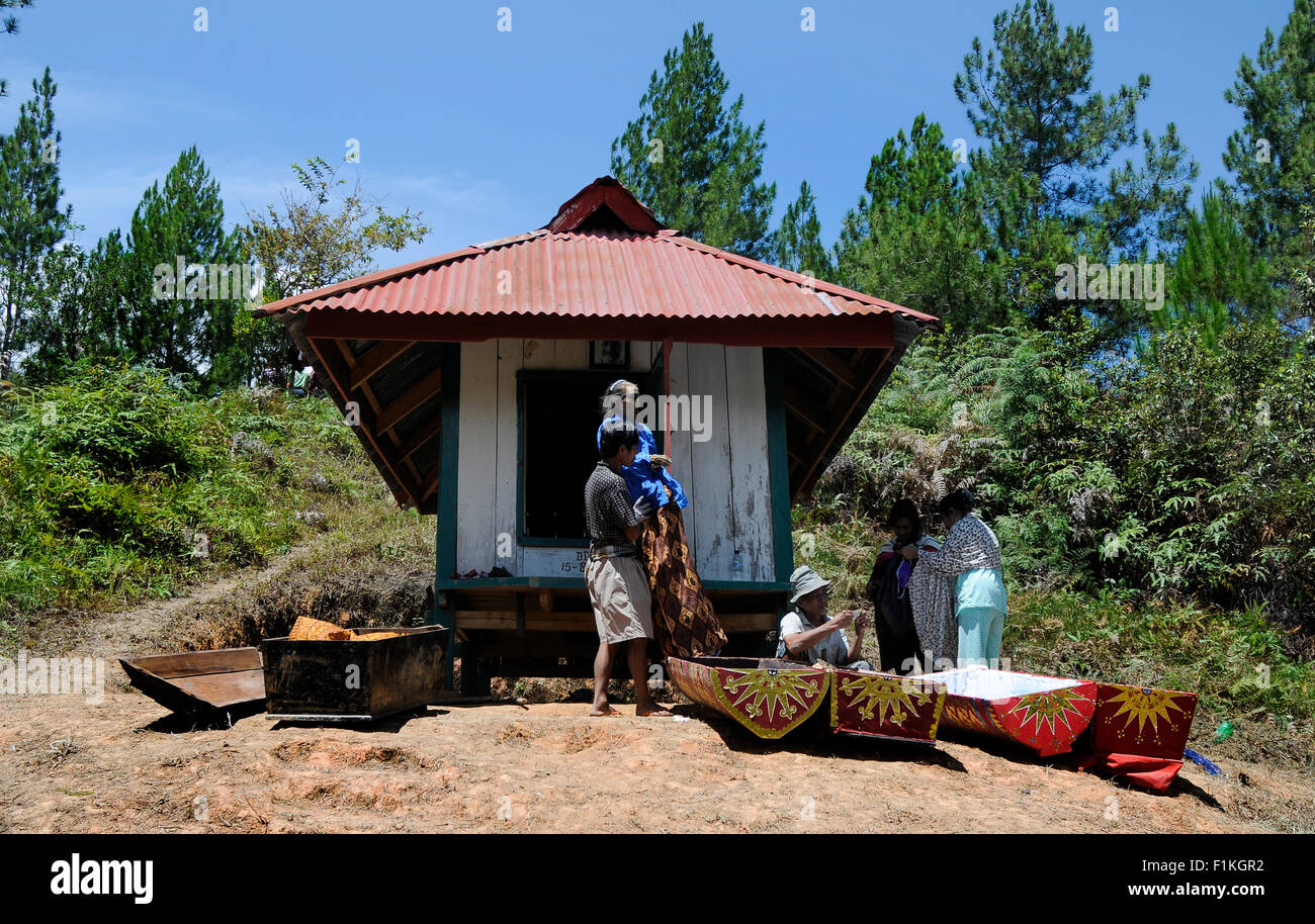 Ancient ancestor hi-res stock photography and images - Alamy