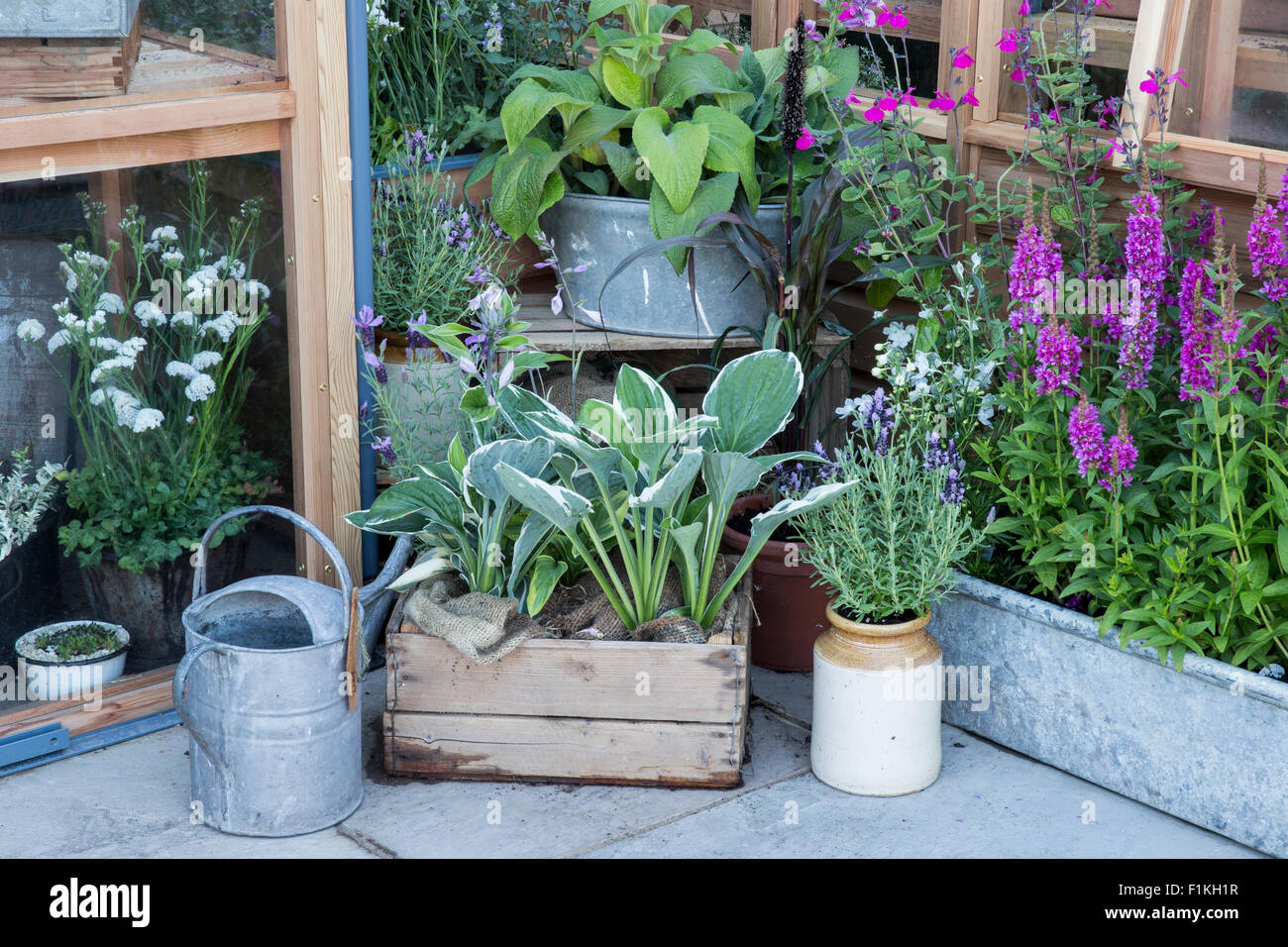 Unusual flower pots hi-res stock photography and images - Alamy