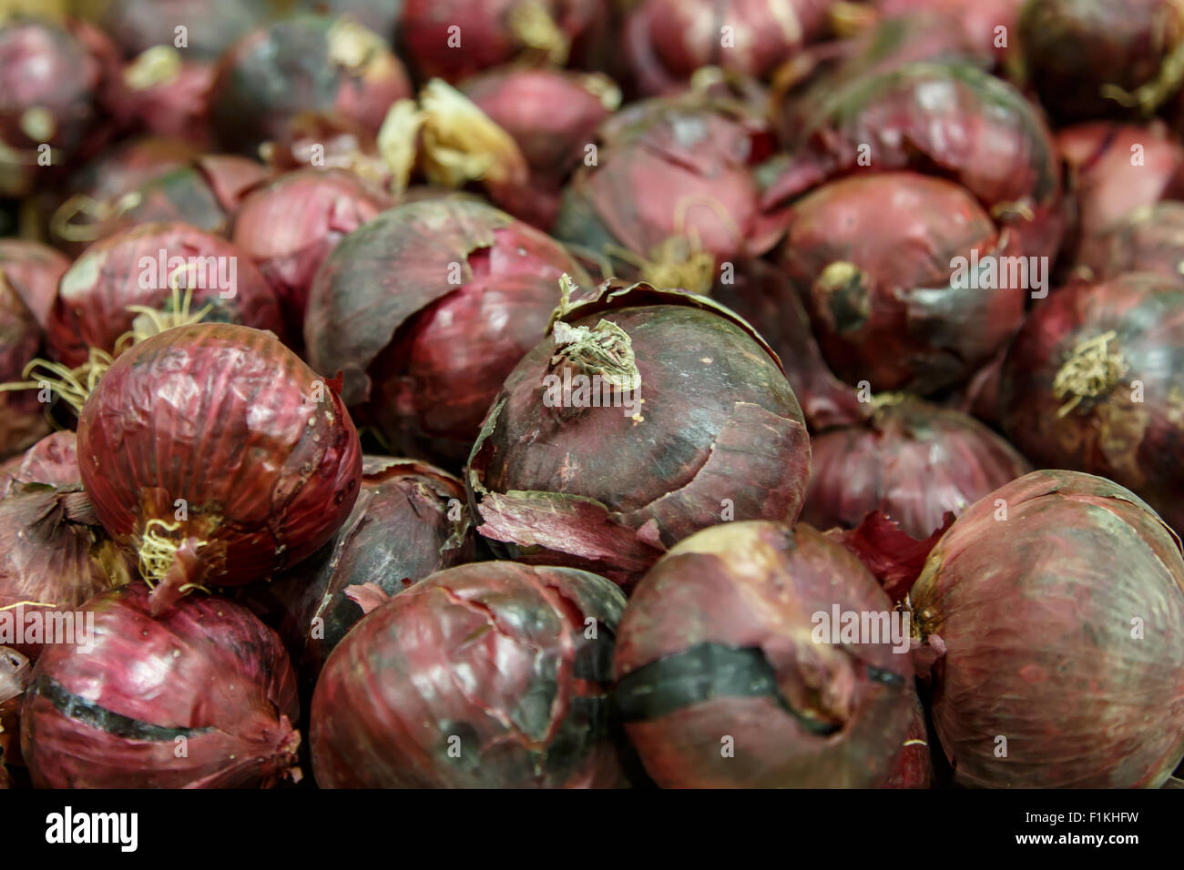 Fresh red onions Stock Photo - Alamy