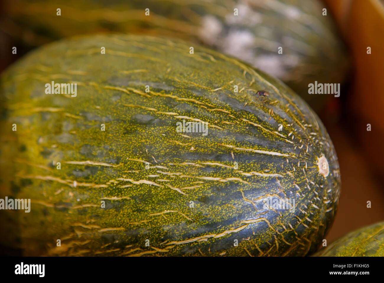 Spanish Melon High Resolution Stock Photography and Images - Alamy