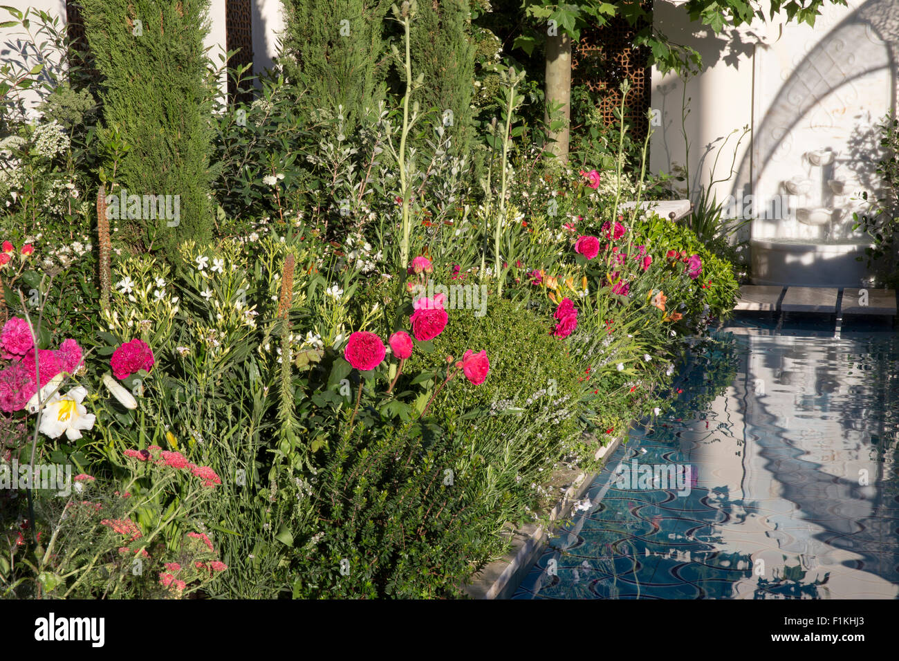 Nilufer High Resolution Stock Photography and Images - Alamy