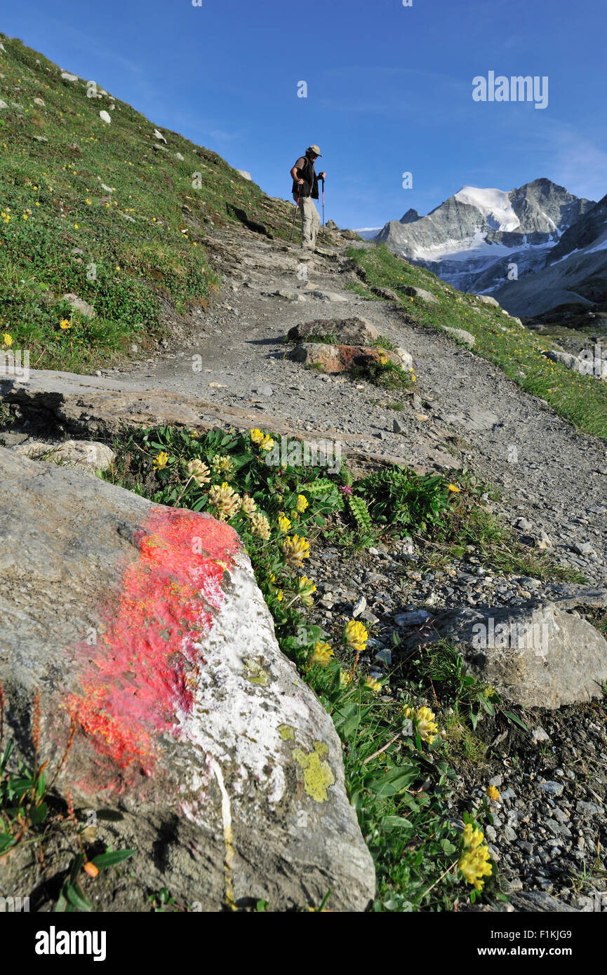 The characteristic white and red stripes that mark the path of a GR ...