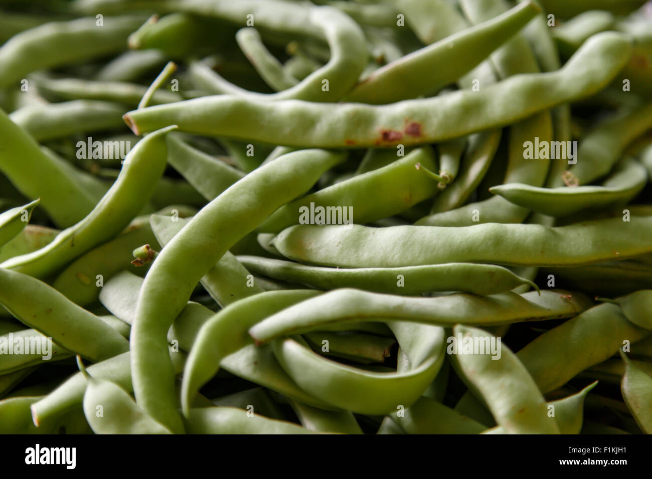 Green beans background hi-res stock photography and images - Alamy
