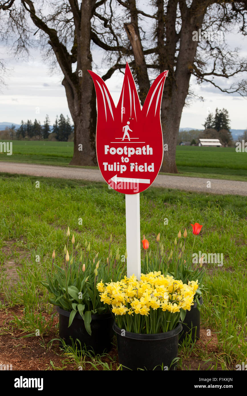 Potted Tulips High Resolution Stock Photography and Images - Alamy