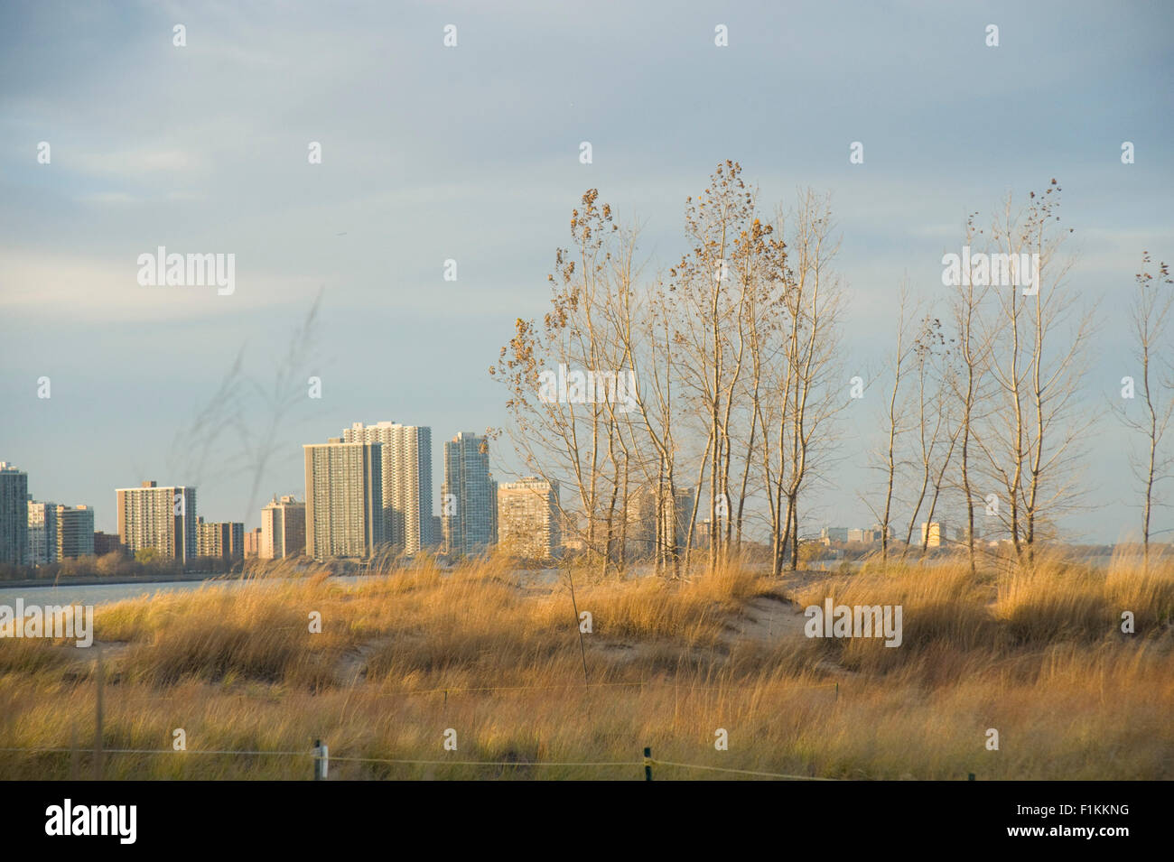 The Magic Hedge area of the beach along Lake Michigan at Montrose ...