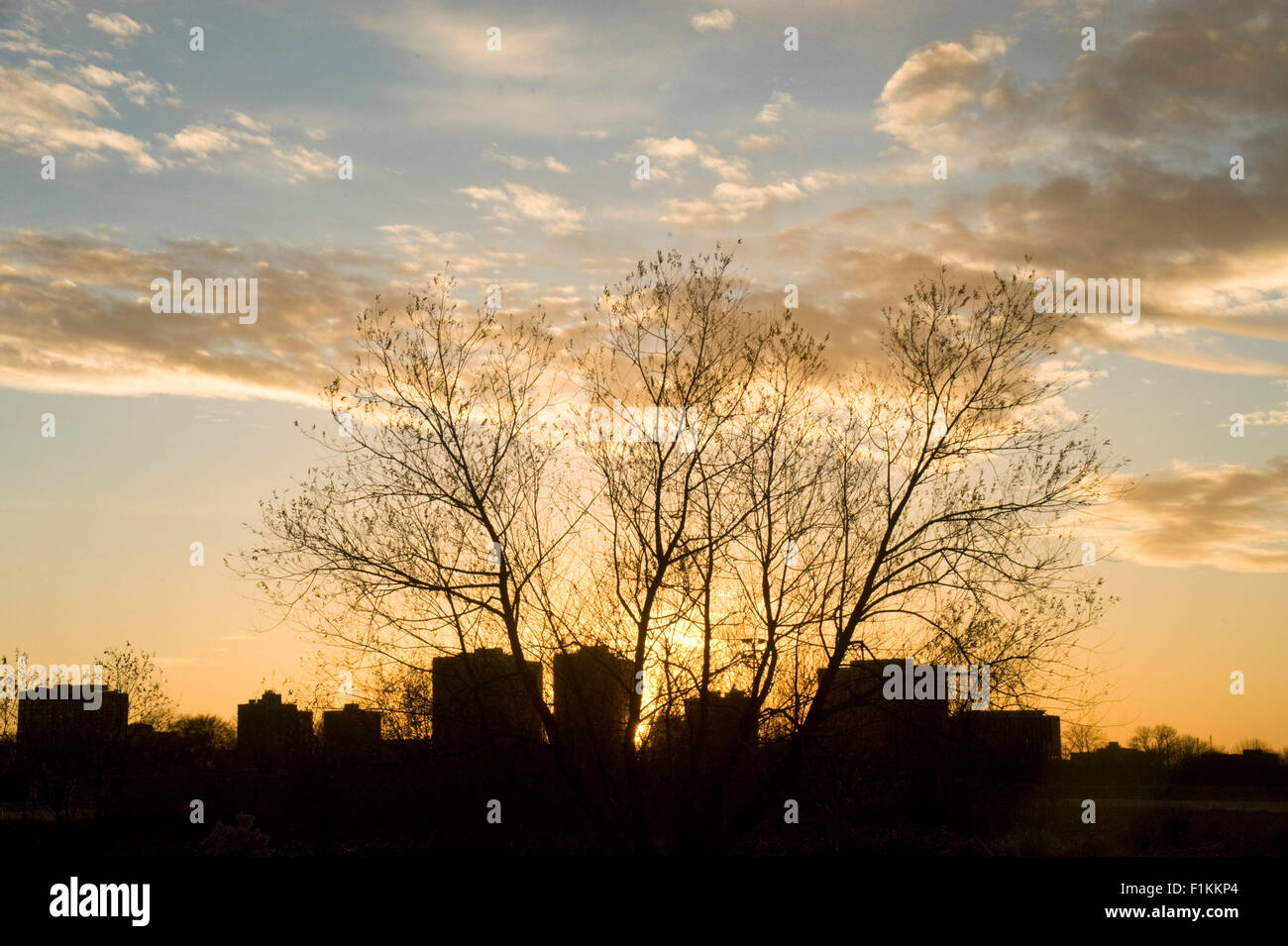 The Magic Hedge area of the beach along Lake Michigan at Montrose ...