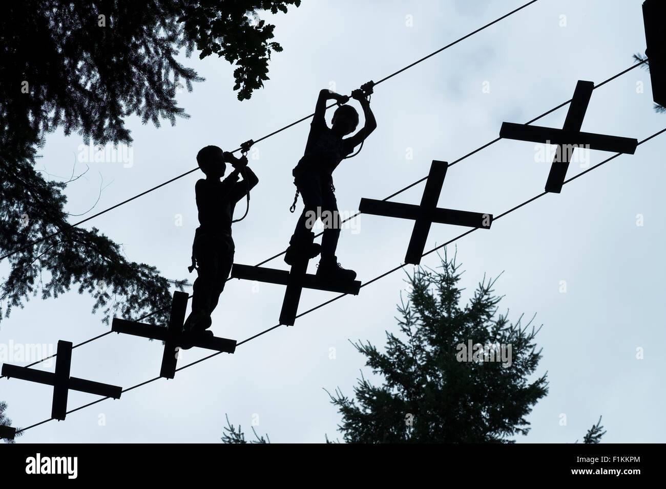 Two young boys walk across a tree top adventure course in woodland ...