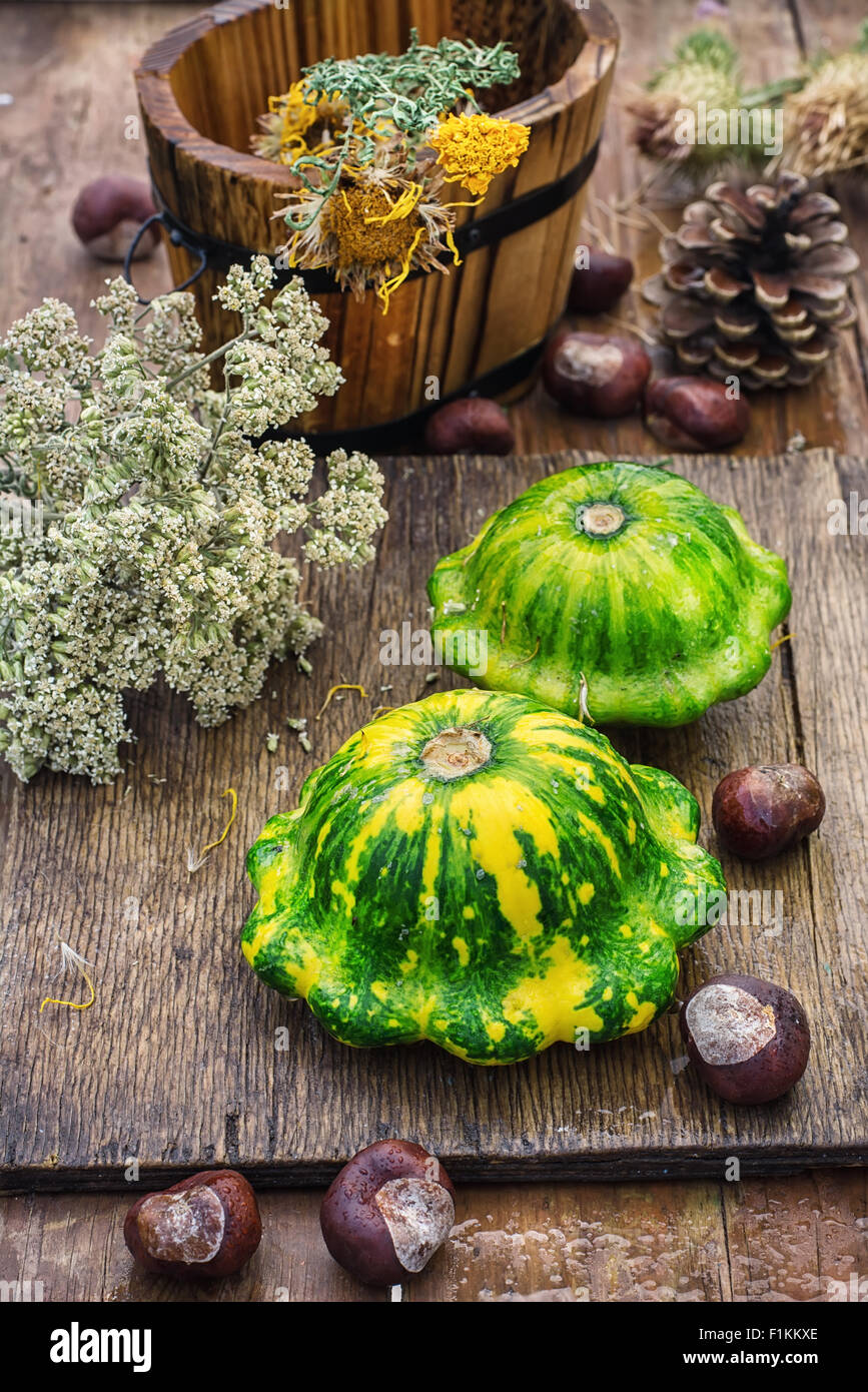 harvest squash on the background of the autumn of attributes in rustic ...