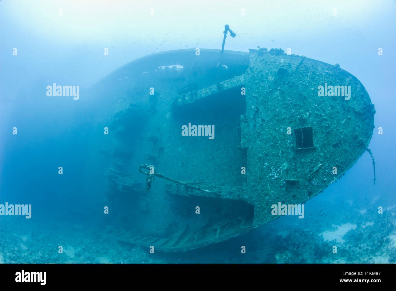 Ship wreck underwater on seabed hi-res stock photography and images - Alamy