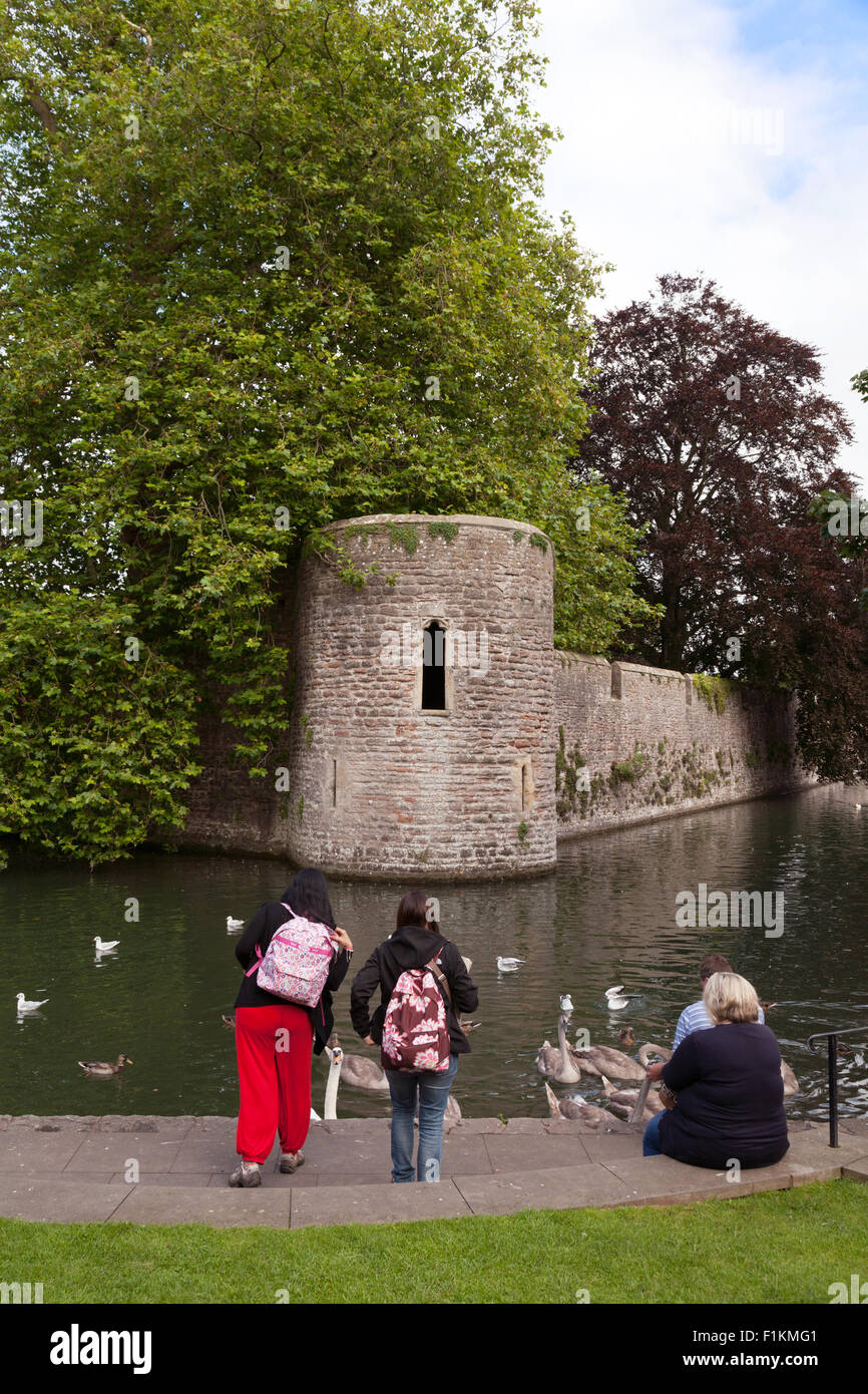Wells bishops palace swans duck hi-res stock photography and images - Alamy