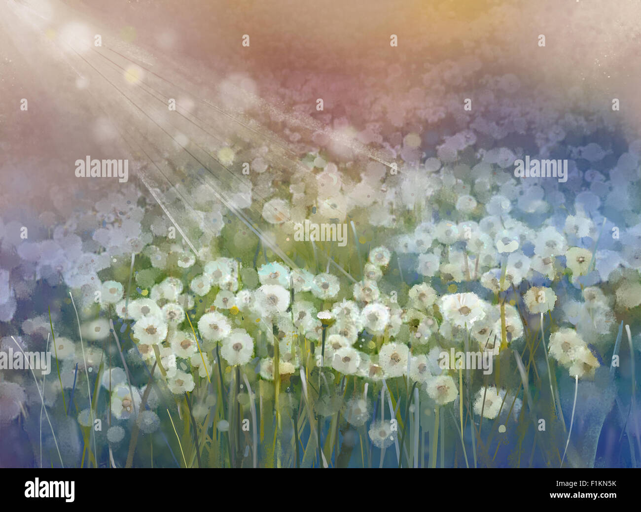 Oil Paintings White Dandelion Flower In The Meadows Stock Photo - Alamy