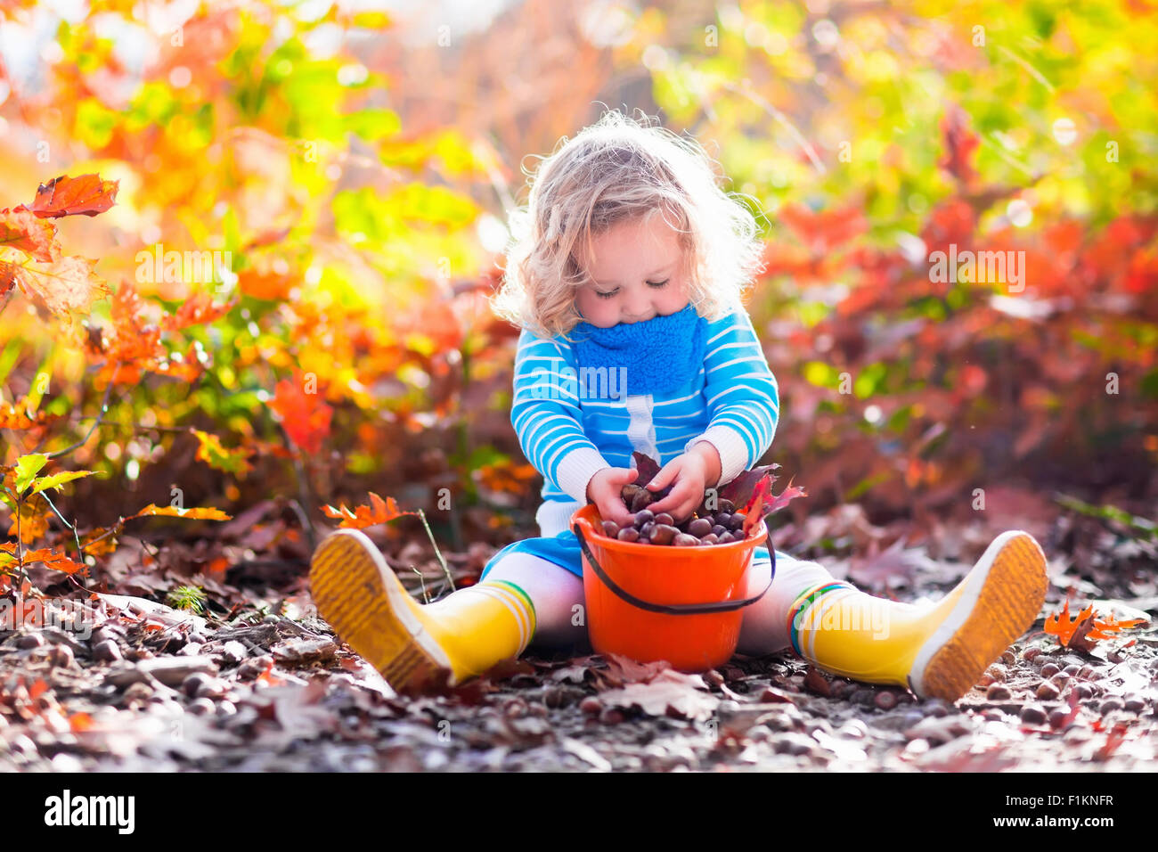 Child holding acorn white background hi-res stock photography and ...