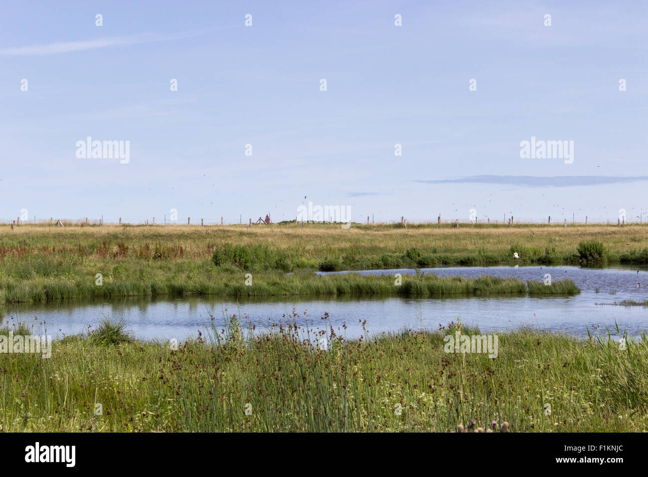A Landscape with bird sanctuary Stock Photo - Alamy
