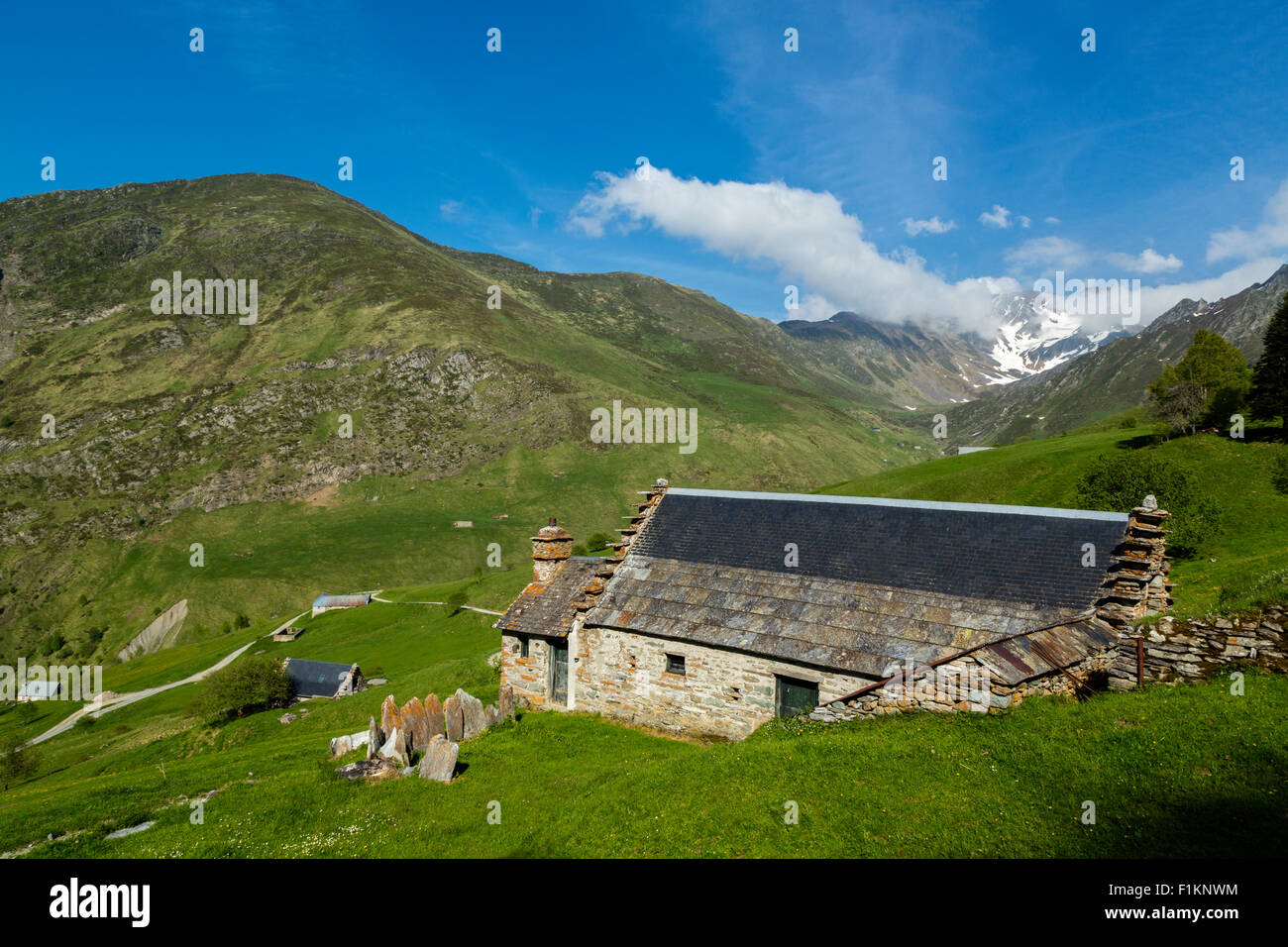 Lyse hi-res stock photography and images - Alamy