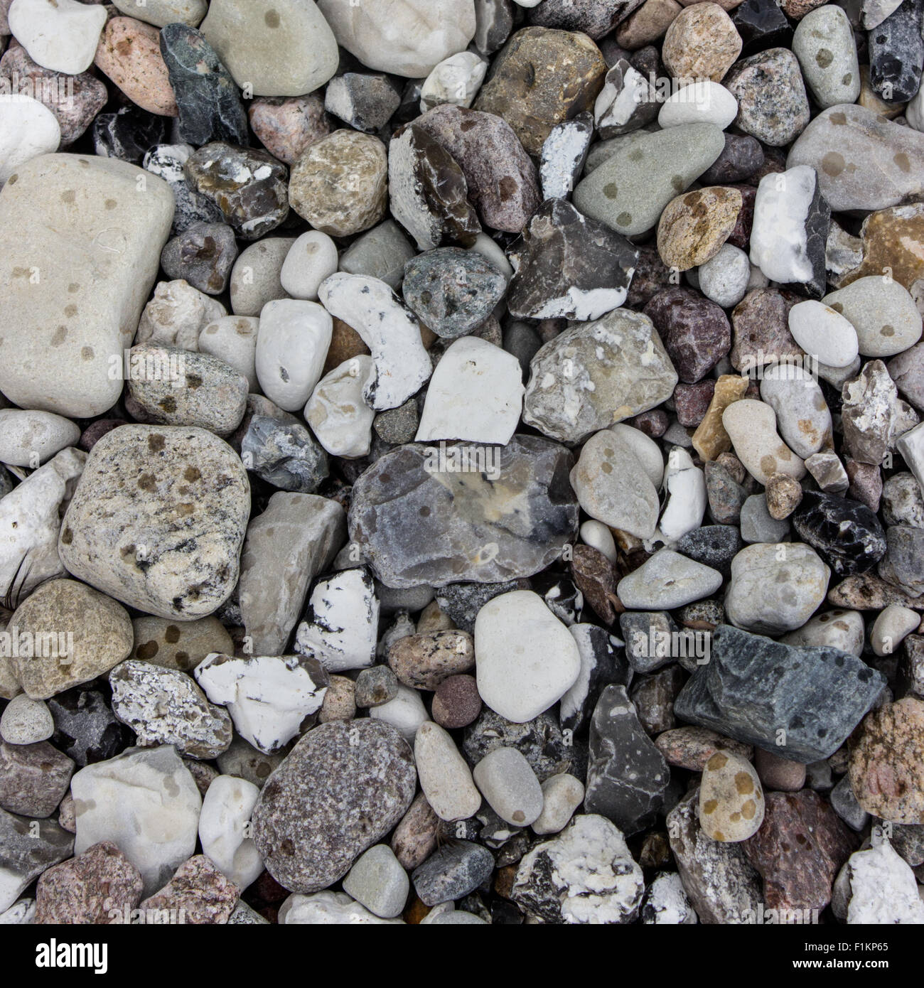 Background of gray pebbles Stock Photo - Alamy