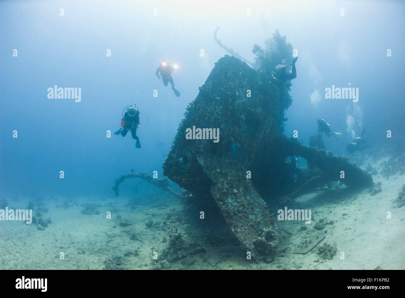 Scuba divers exploring the stern section of a large underwater ...