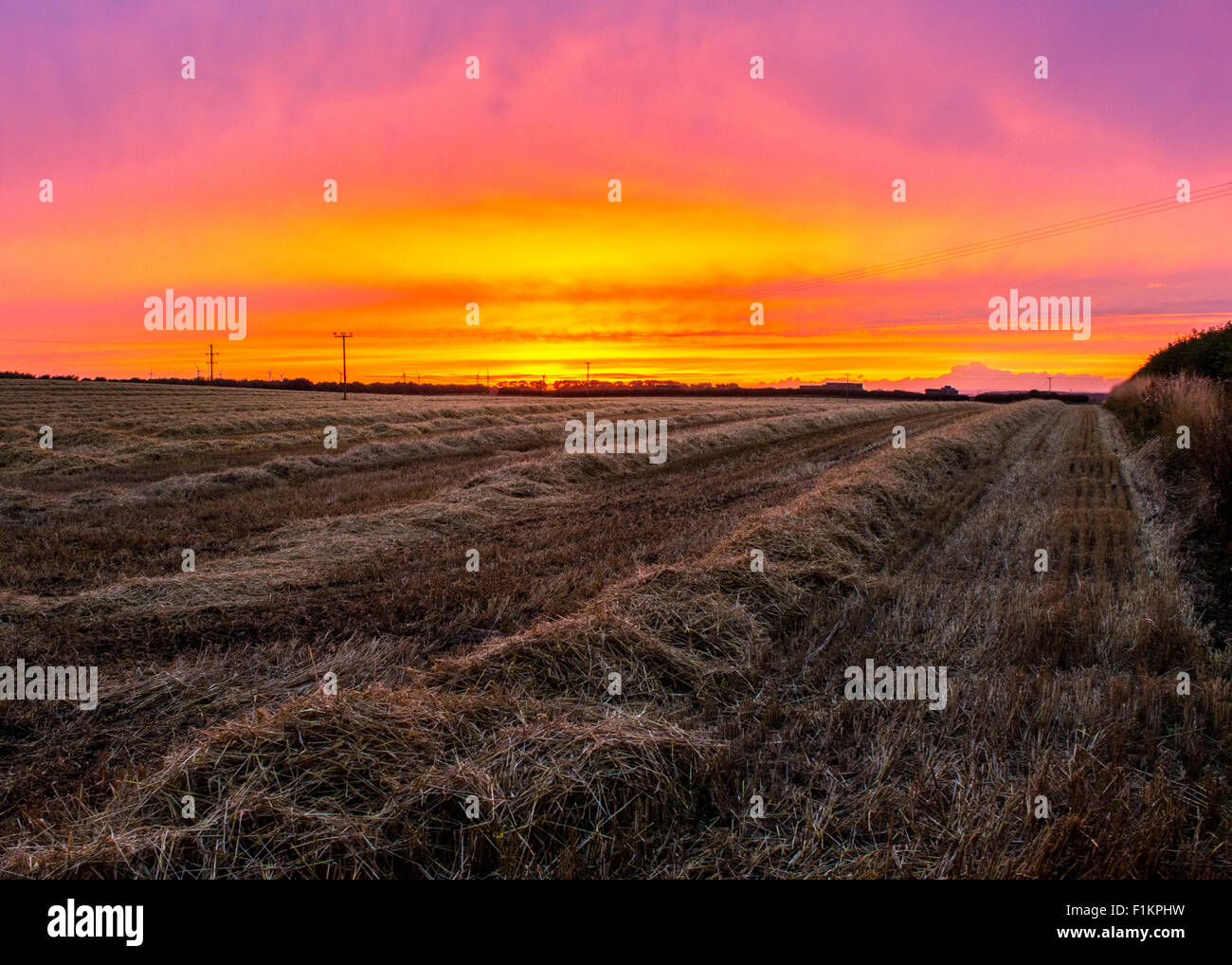 Ulrome hi-res stock photography and images - Alamy
