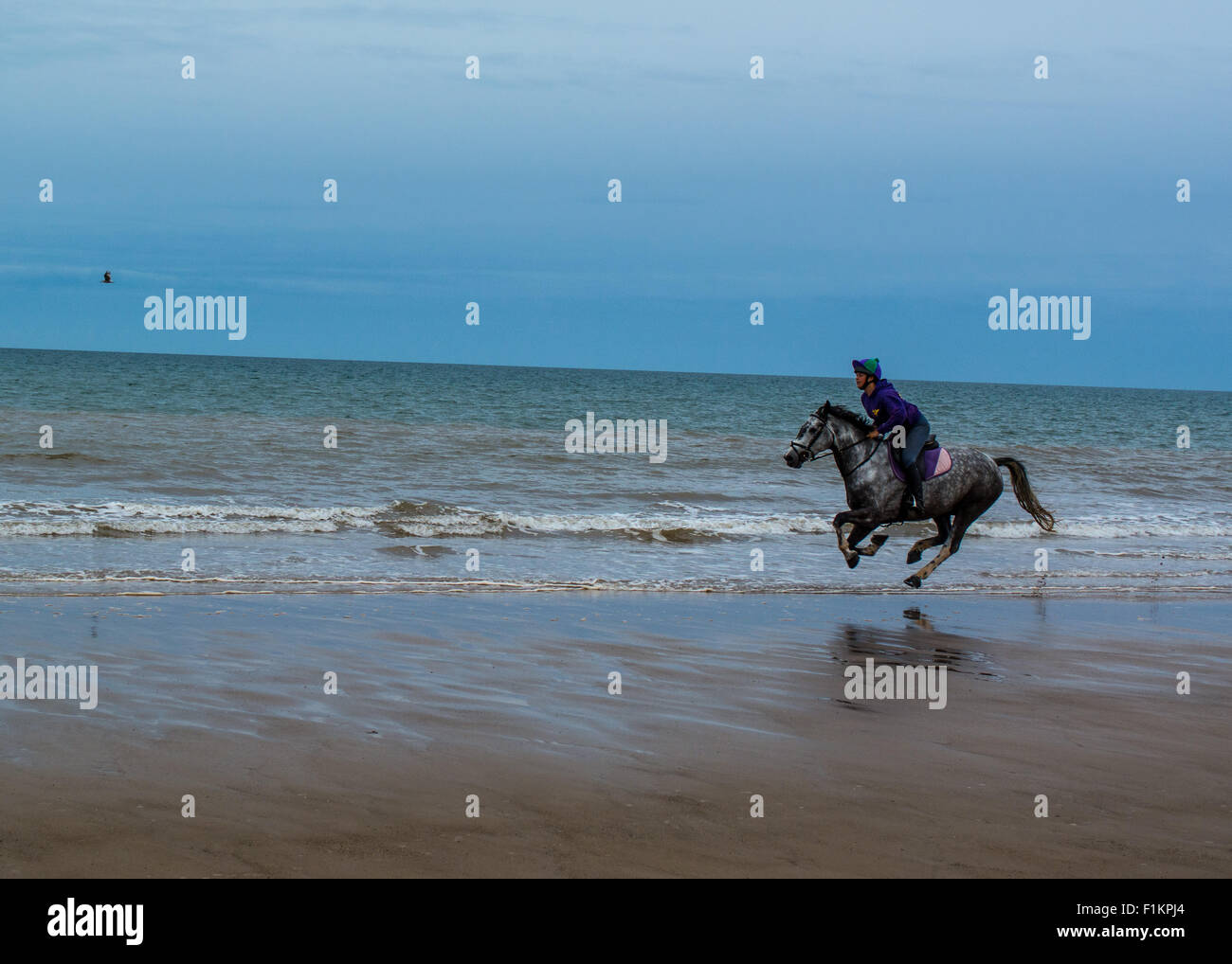 Ulrome hi-res stock photography and images - Alamy