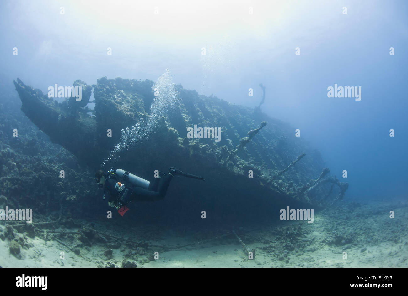Scuba divers exploring the bow section of a large underwater shipwreck ...