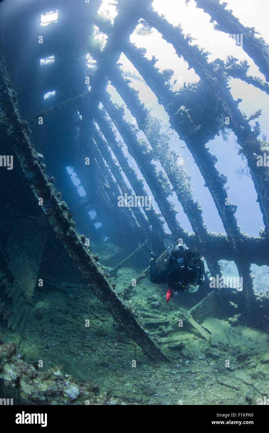 Scuba diver exploring inside a large underwater shipwreck Stock Photo ...