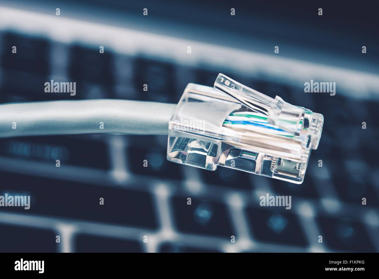 RJ45 Network Cable Connector Closeup with Keyboard in the Background ...