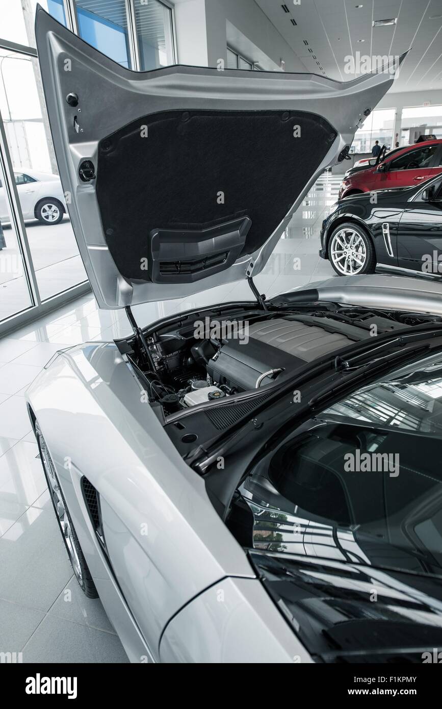 Modern Car Dealer Showroom Vertical Photo. Cars Exposition. Sporty ...