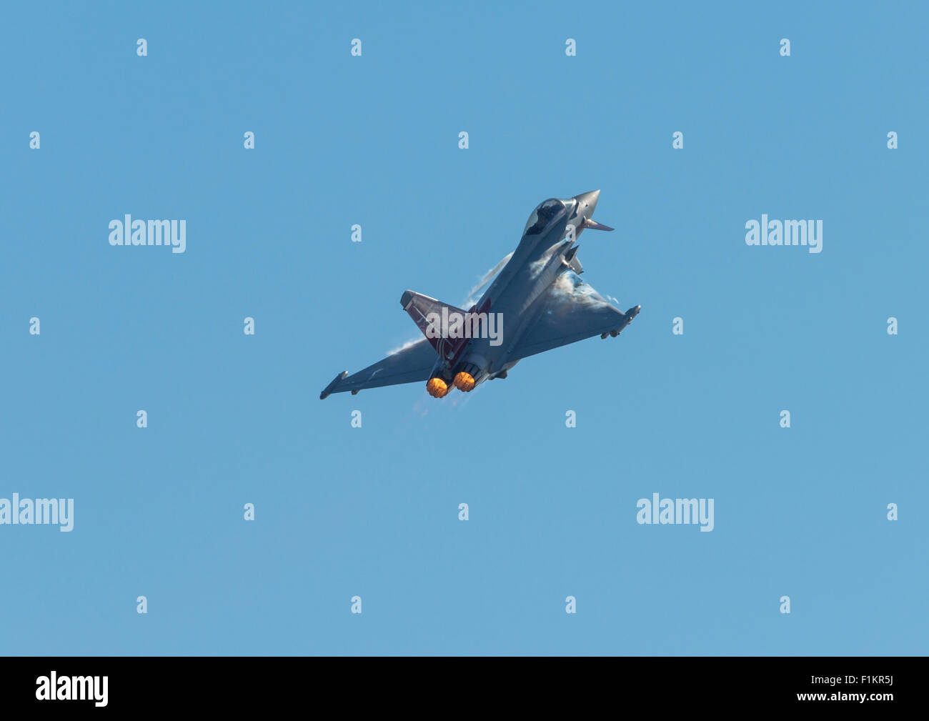 Raf typhoon pilot hi-res stock photography and images - Alamy