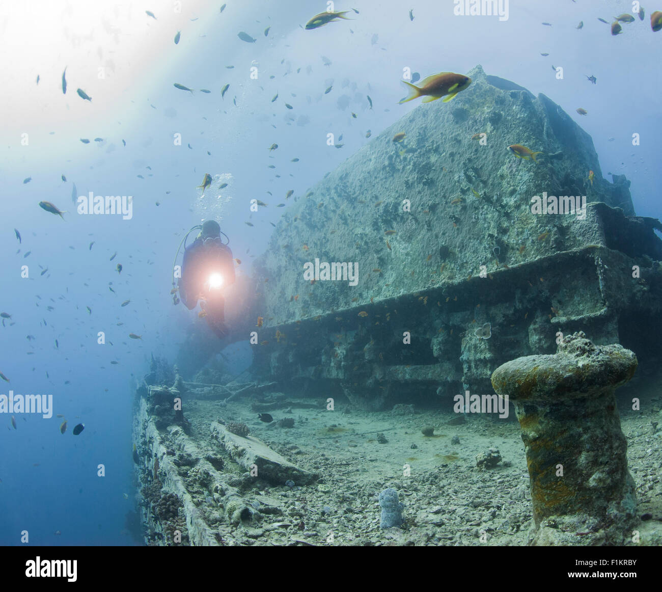 Wreck diving torch hi-res stock photography and images - Alamy