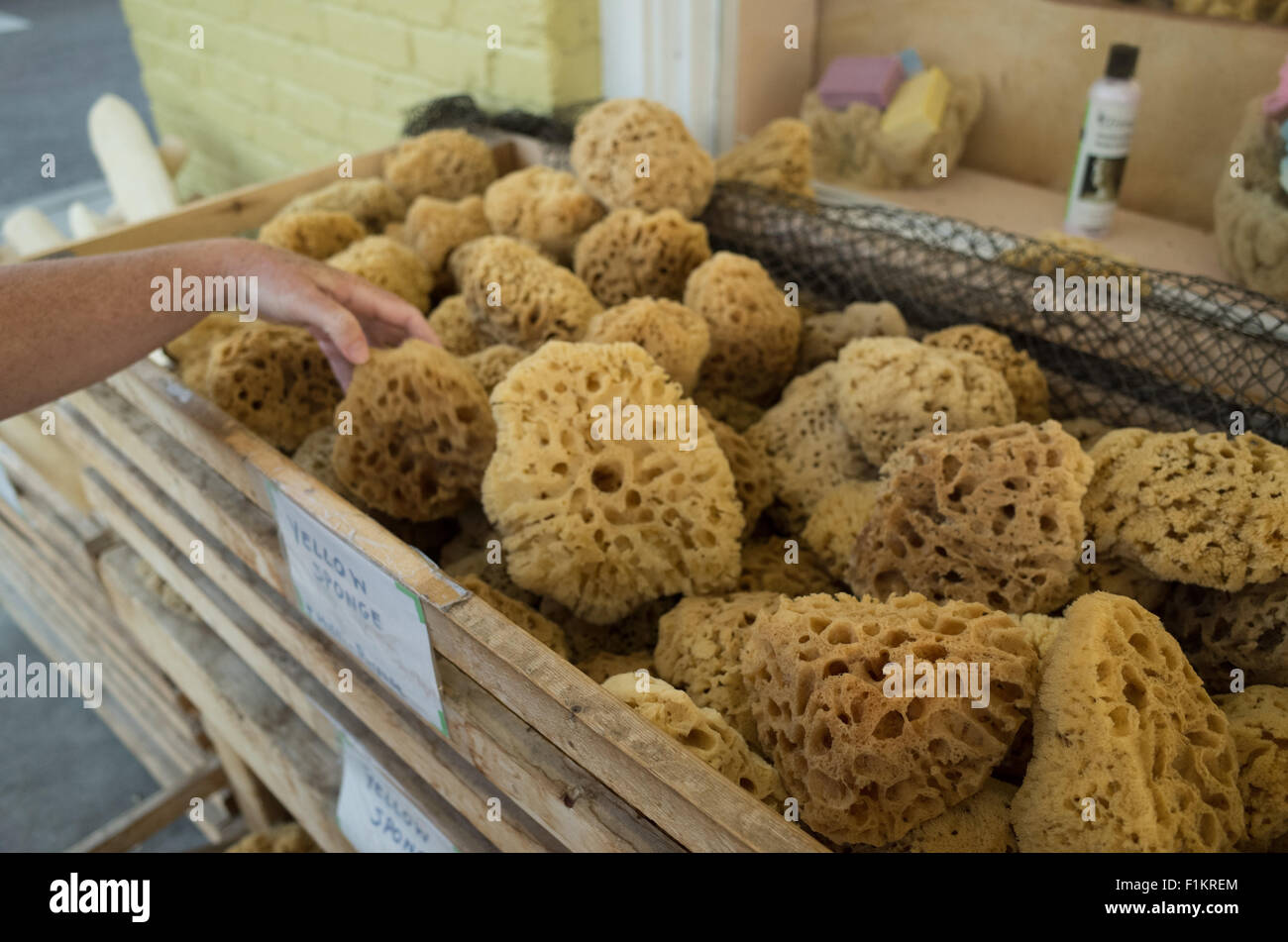 Tarpon springs hi-res stock photography and images - Alamy
