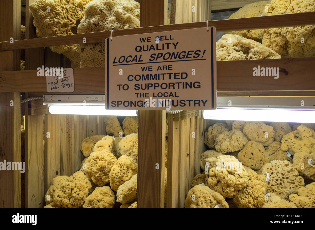 Sponges on display hi-res stock photography and images - Alamy