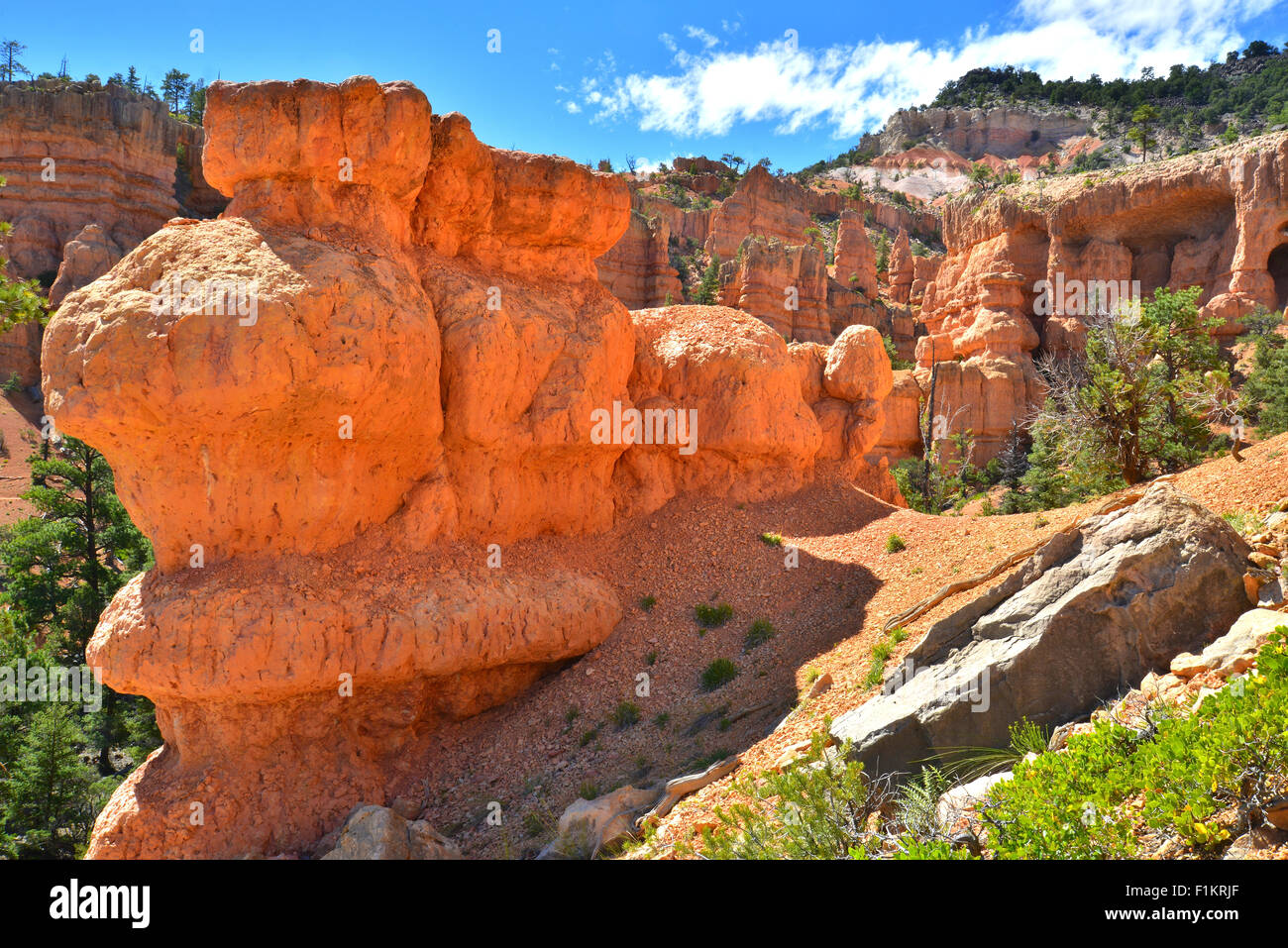Hoodoos in Red Canyon along Scenic Highway 12, part of Dixie National ...