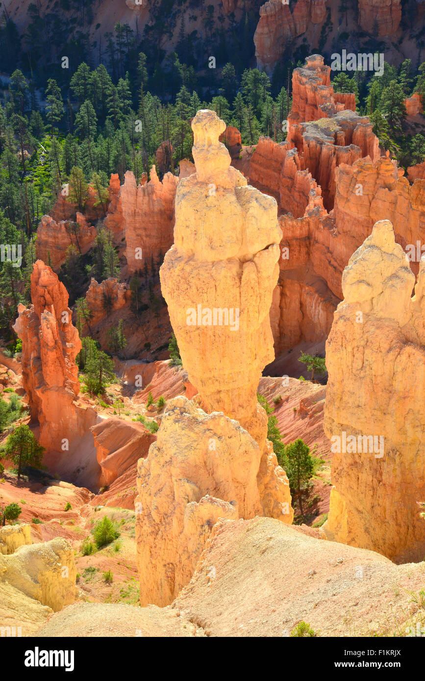 View of glowing hoodoos from Rim Trail at Inspiration Point in Bryce ...