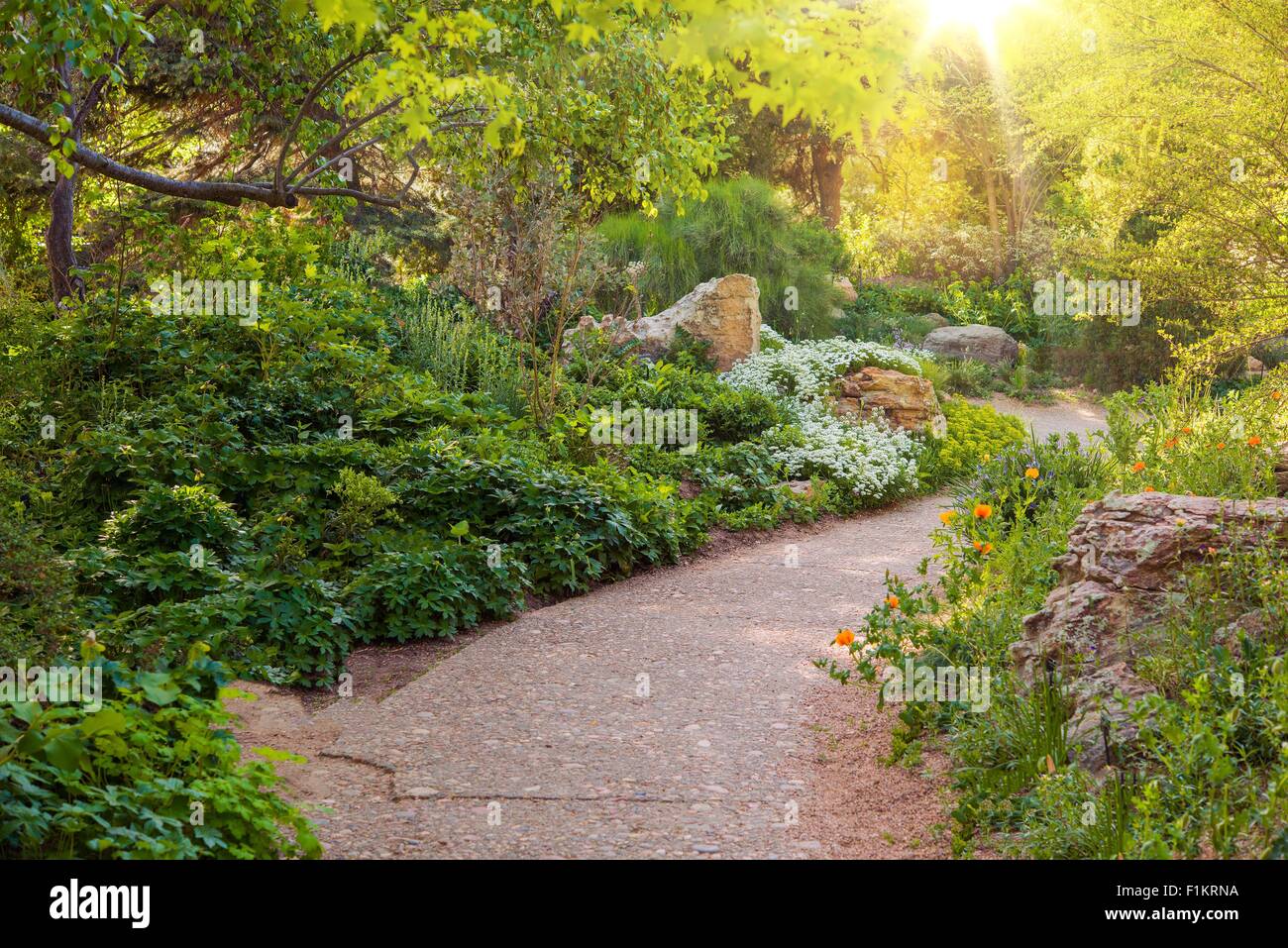 Sunny Summer Garden. Beautiful Garden Walking Path. Gardening in Summer ...
