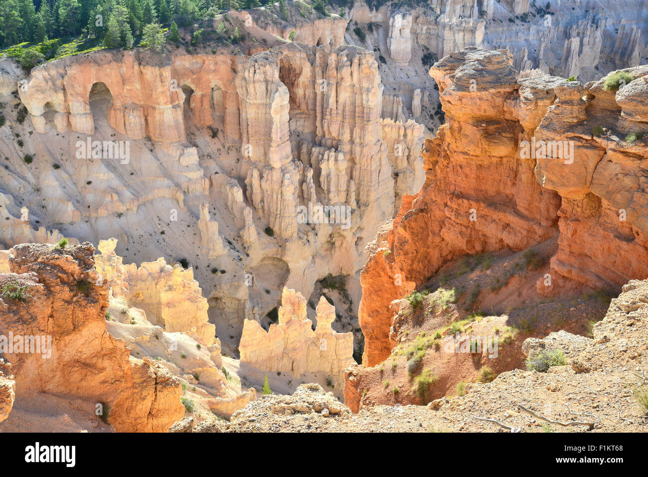 View of the Windows section from Bryce Point in Bryce Canyon National ...